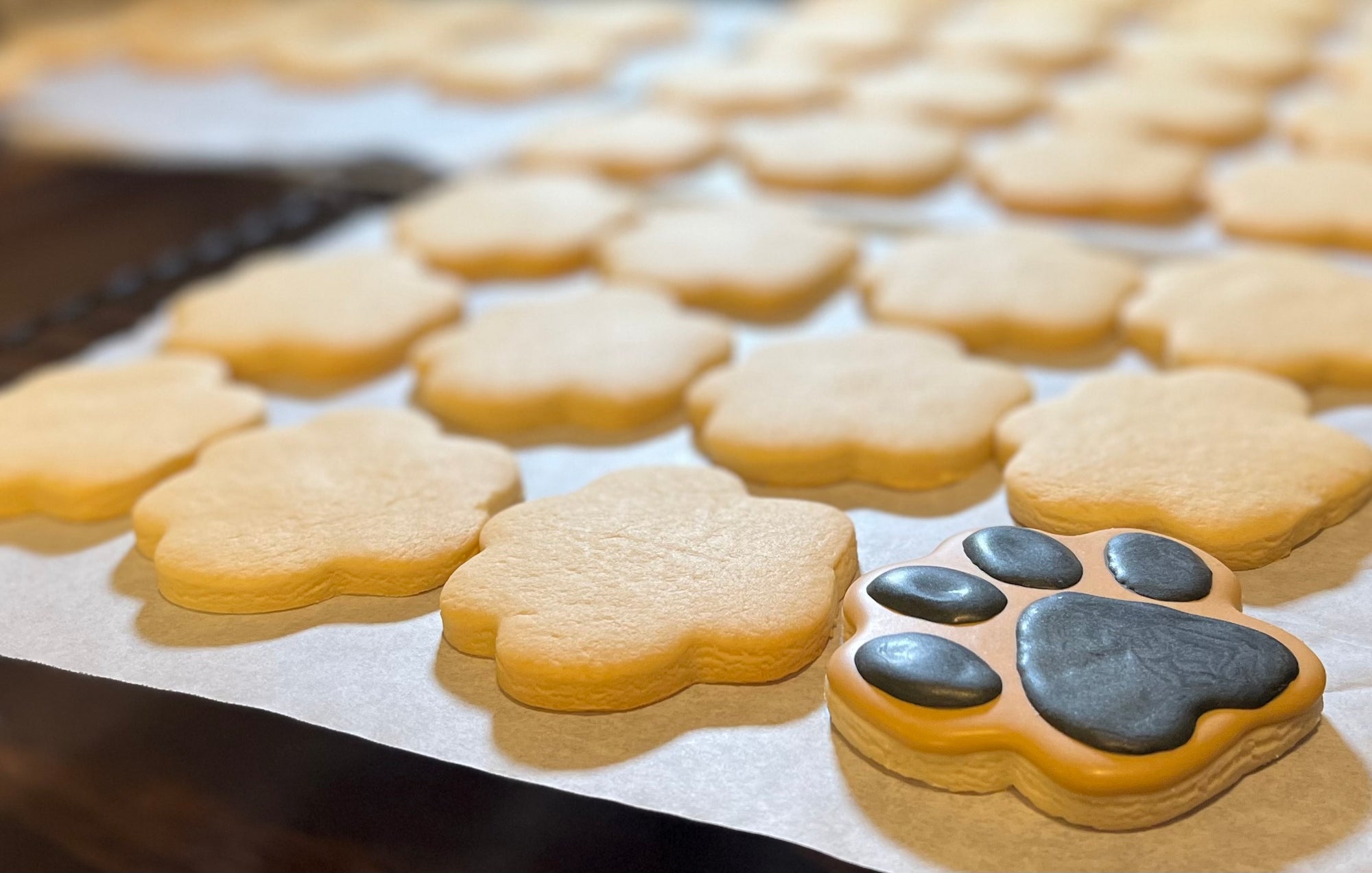 Custom Designed Sugar Cookies – Desert Wolf Sweet Shoppe